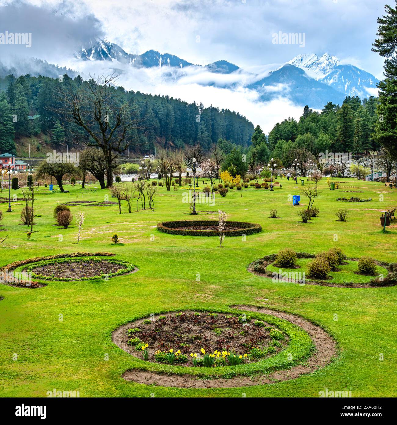 A park filled with circular shapes and lush trees Stock Photo - Alamy