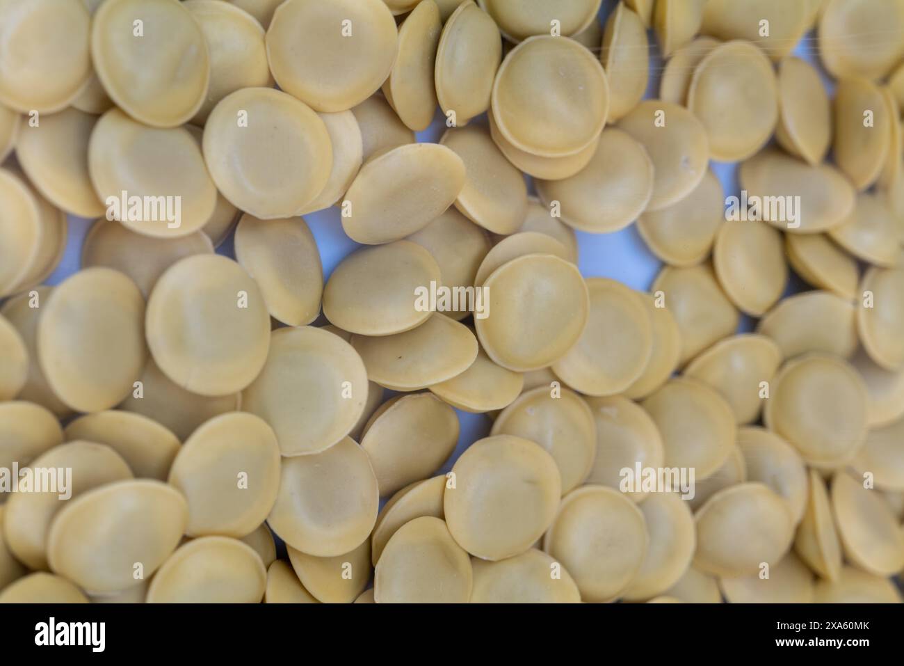 Anoline hi-res stock photography and images - Alamy