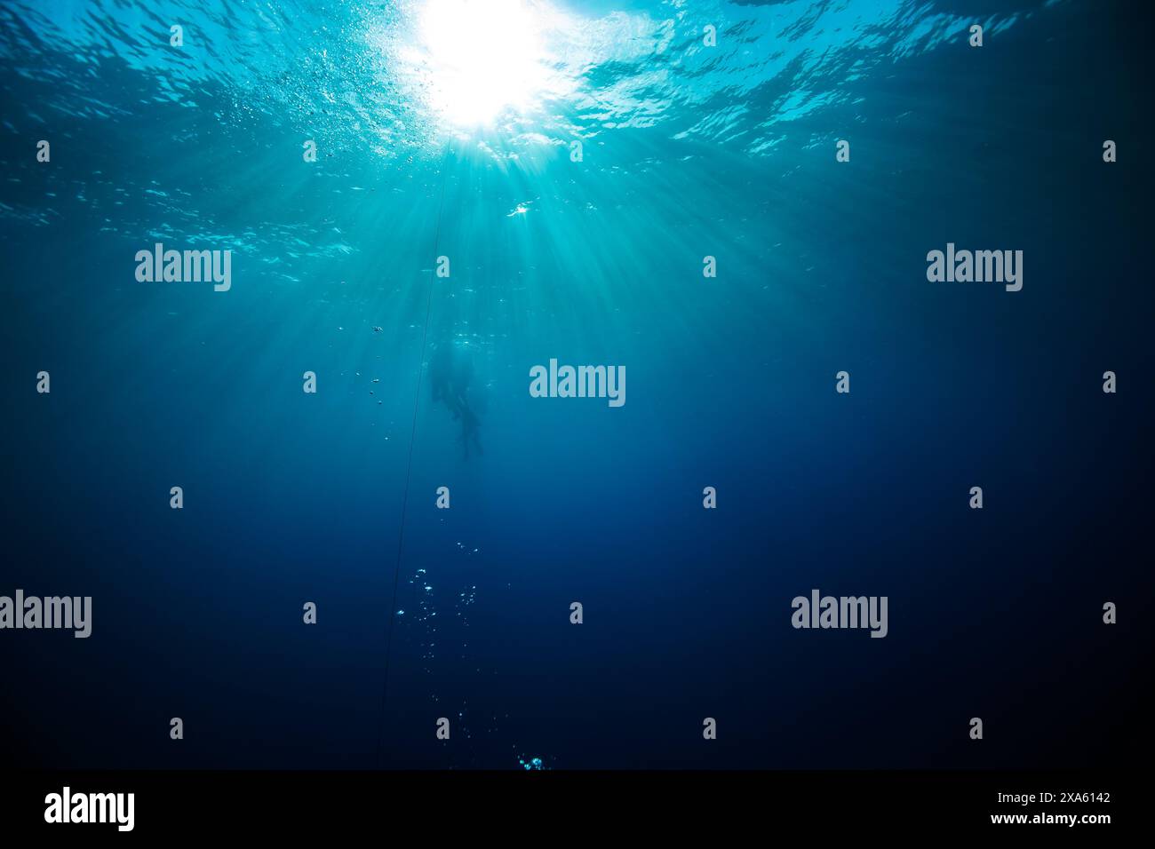 Low angle shot coral hi-res stock photography and images - Alamy