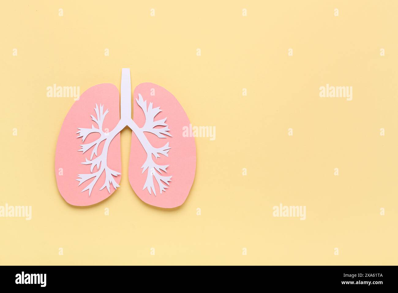 Paper lungs on beige background Stock Photo - Alamy