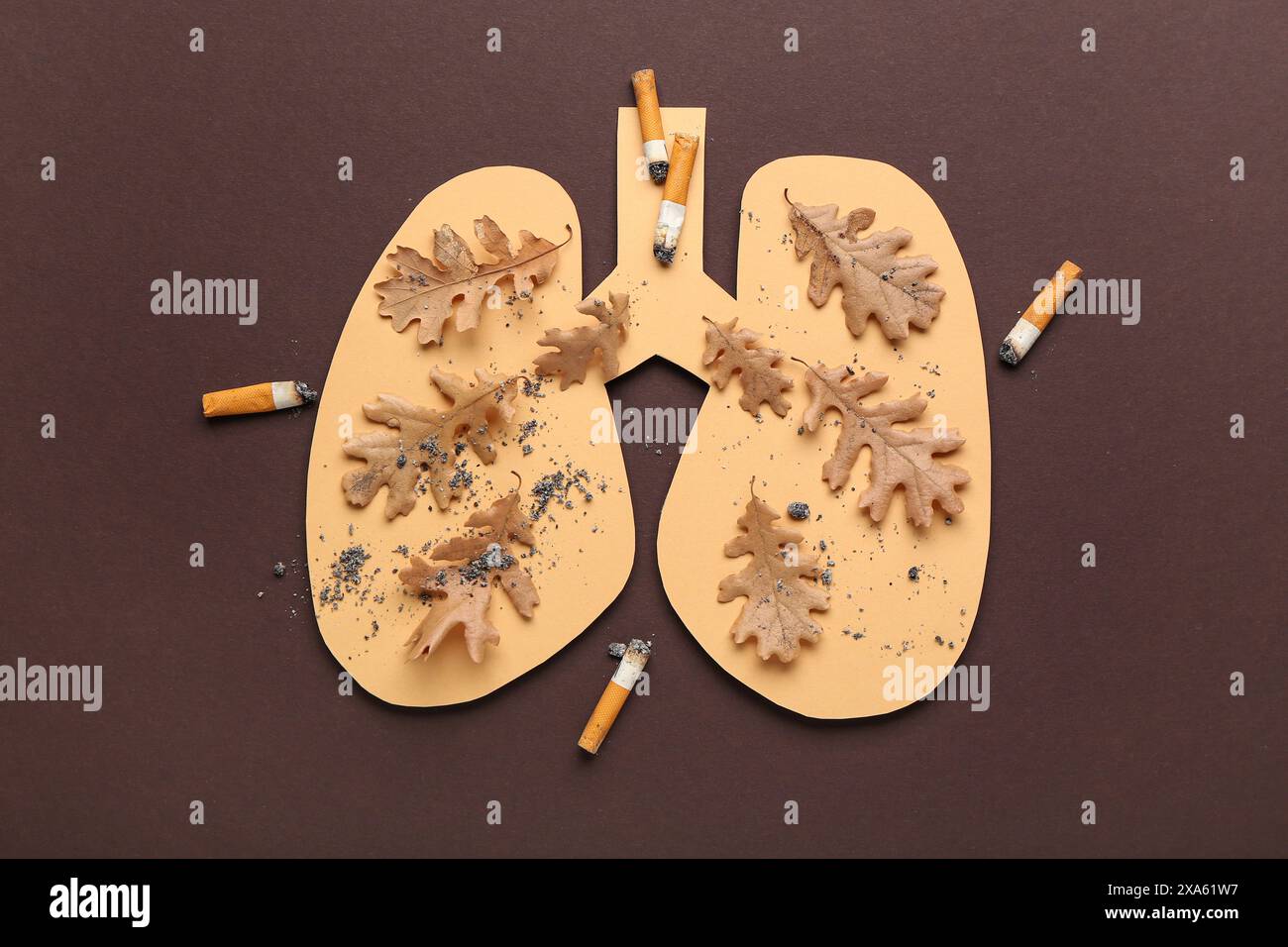 Paper lungs with dry oak leaves and cigarette butts on brown background ...