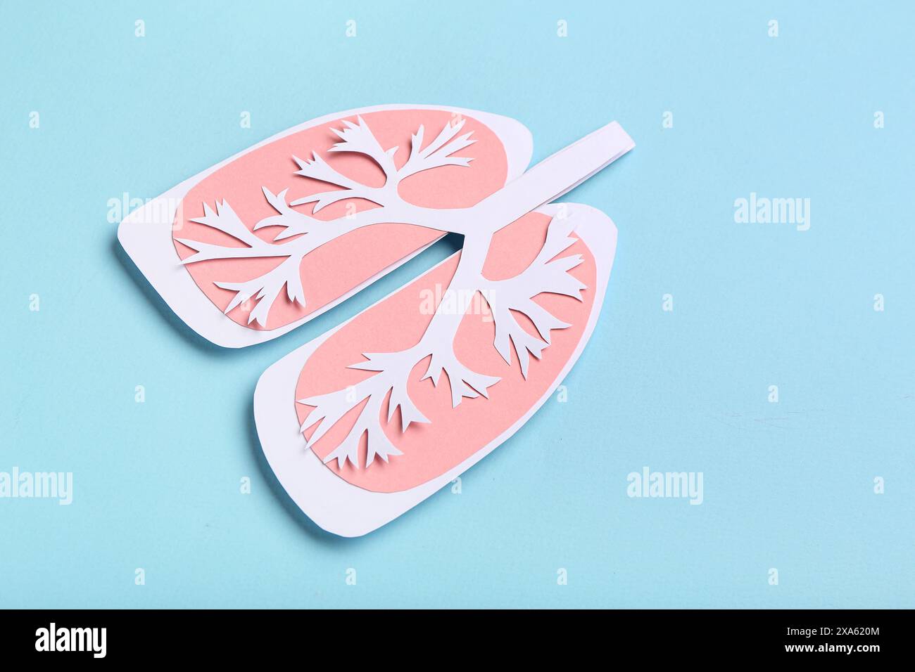 Paper lungs on blue background Stock Photo - Alamy
