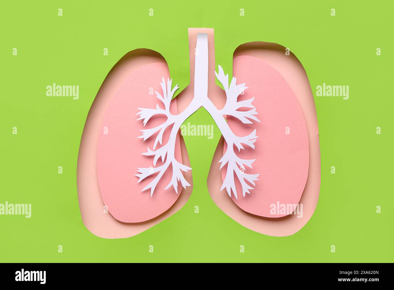 Paper cut out lungs on pink background Stock Photo - Alamy