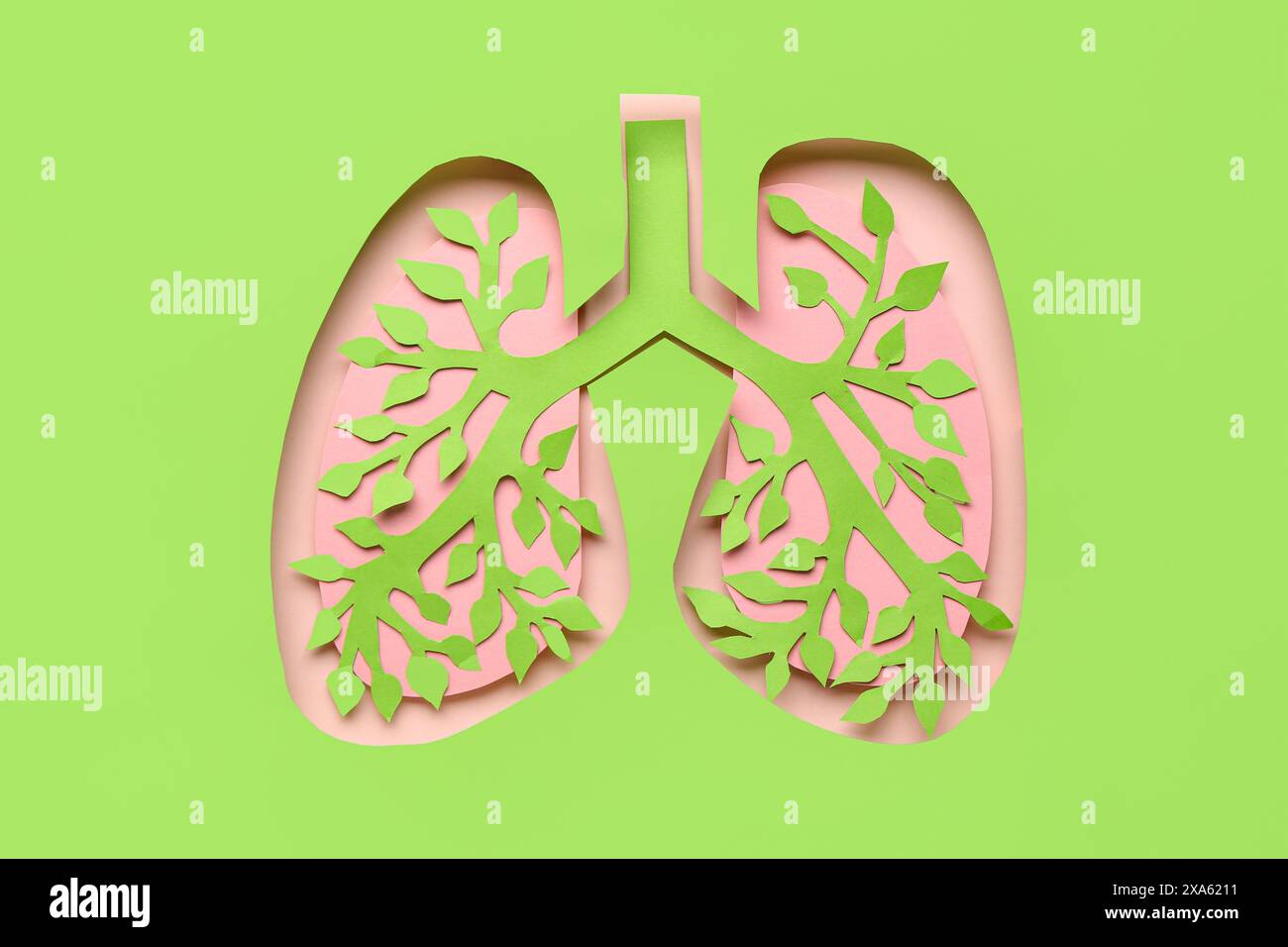 Paper cut out lungs on pink background Stock Photo - Alamy