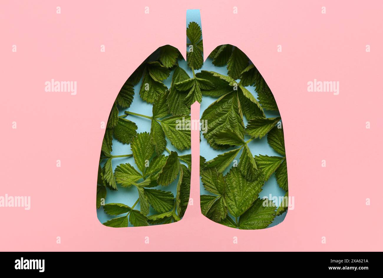 Paper cut out lungs with leaves on color background Stock Photo - Alamy