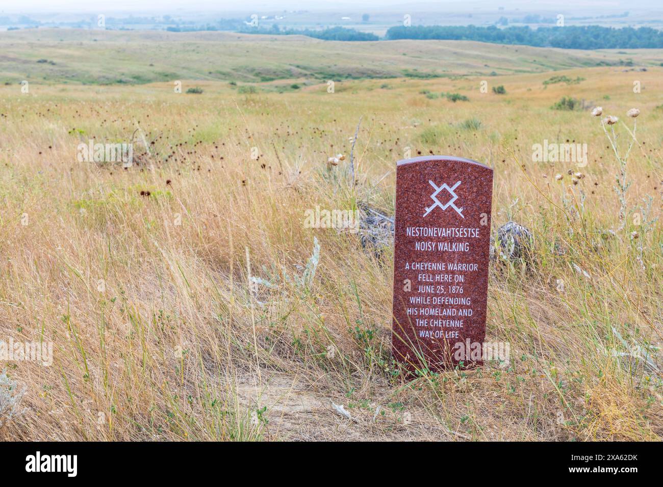 Battle of little bighorn hi-res stock photography and images - Alamy
