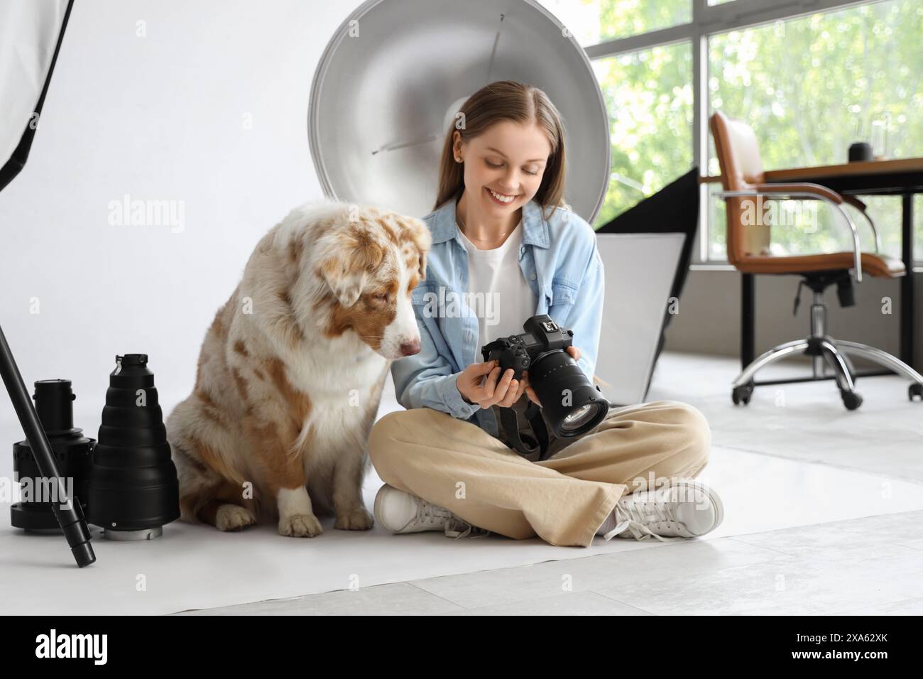 Female photographer with cute Australian Shepherd dog looking at ...