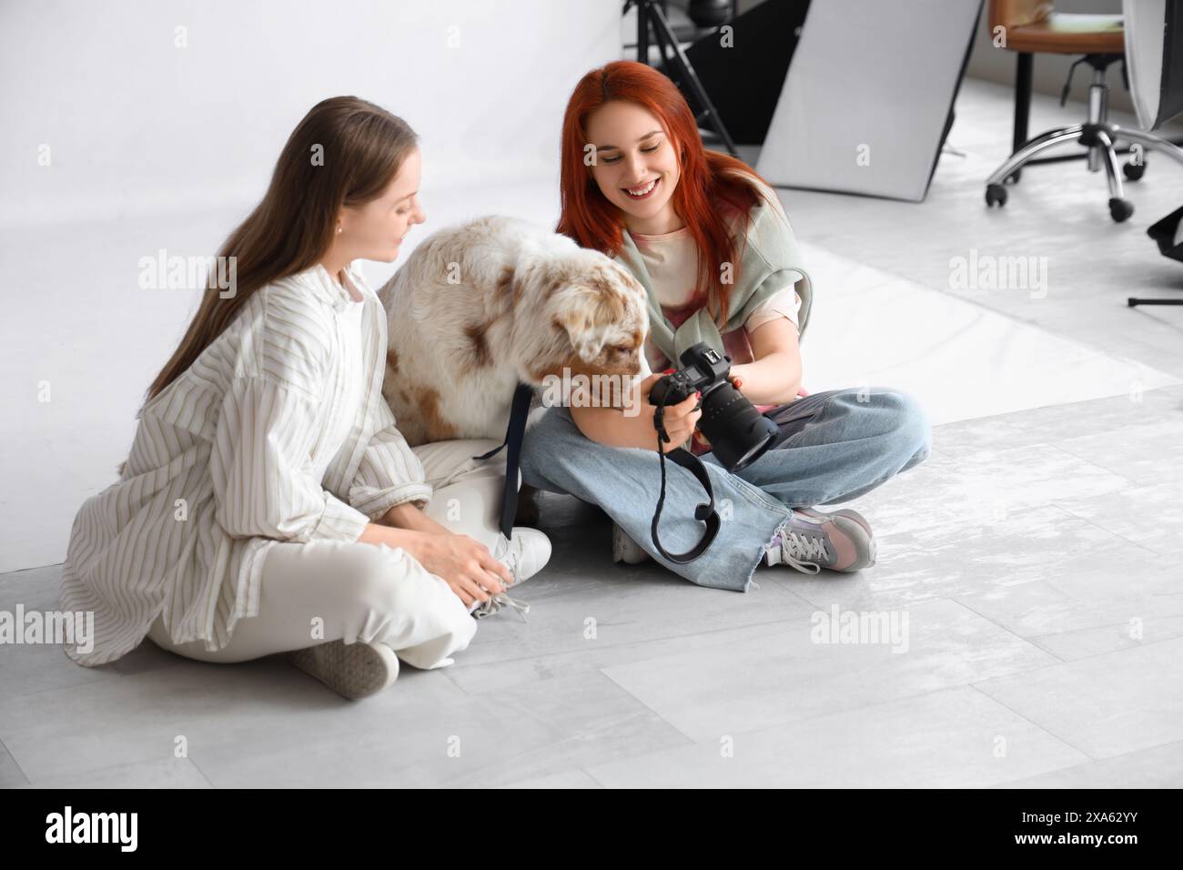 Female photographer with her assistant and Australian Shepherd dog ...