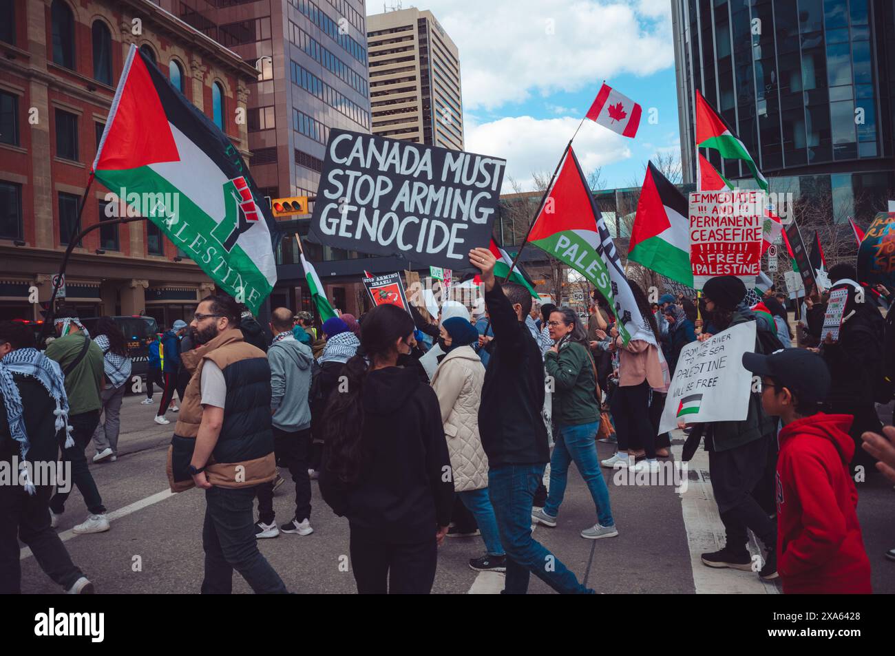 A pro-Palestine crowd protesting in the streets holding Palestine flags ...