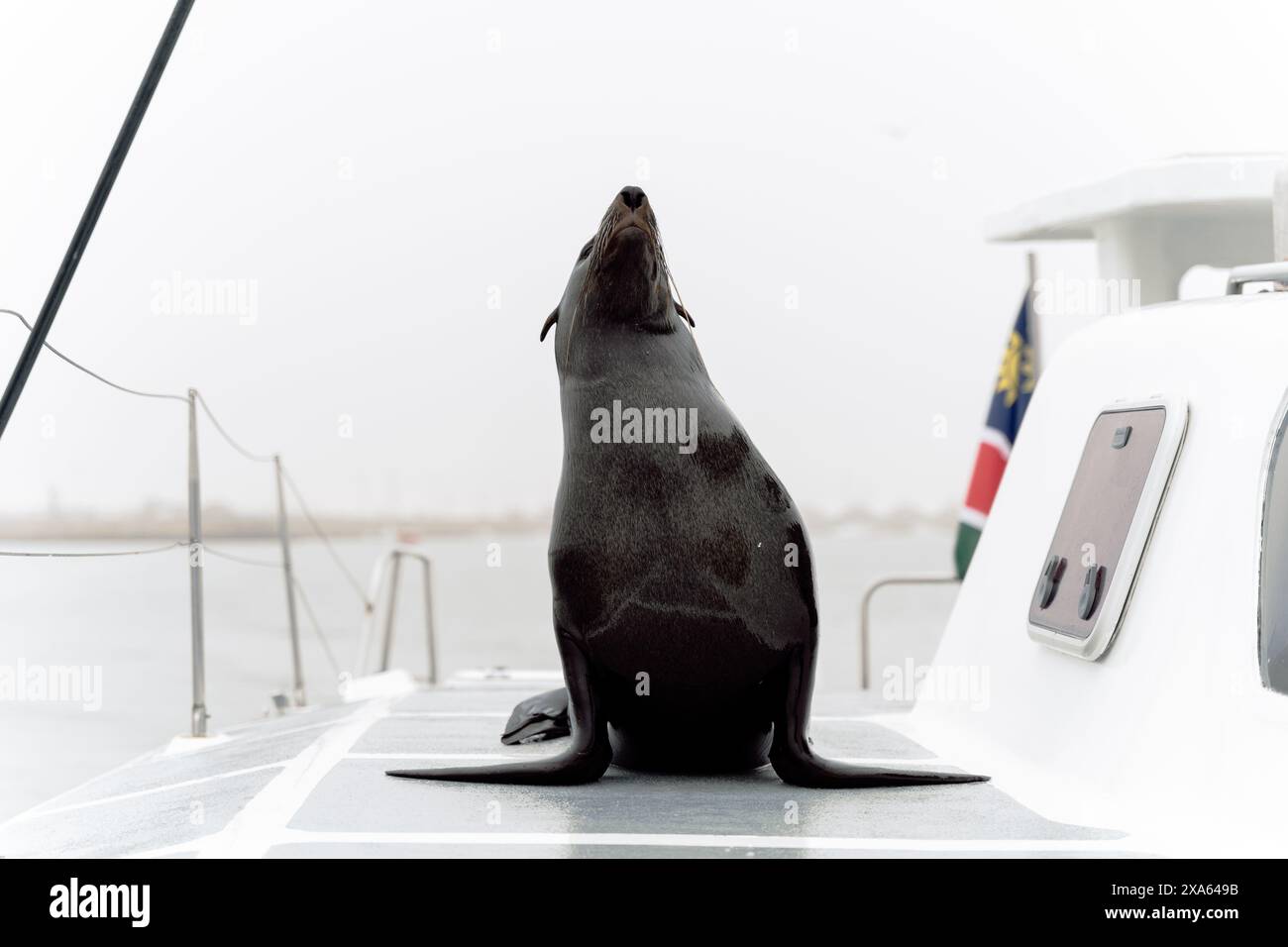 Vessel resting hi-res stock photography and images - Alamy