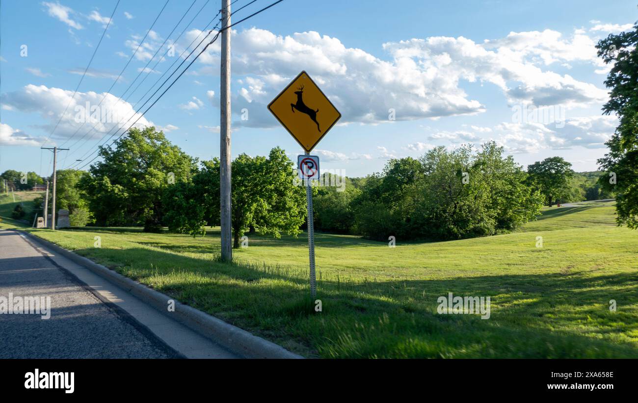 An animal street sign on road corner flanked by trees and power lines ...
