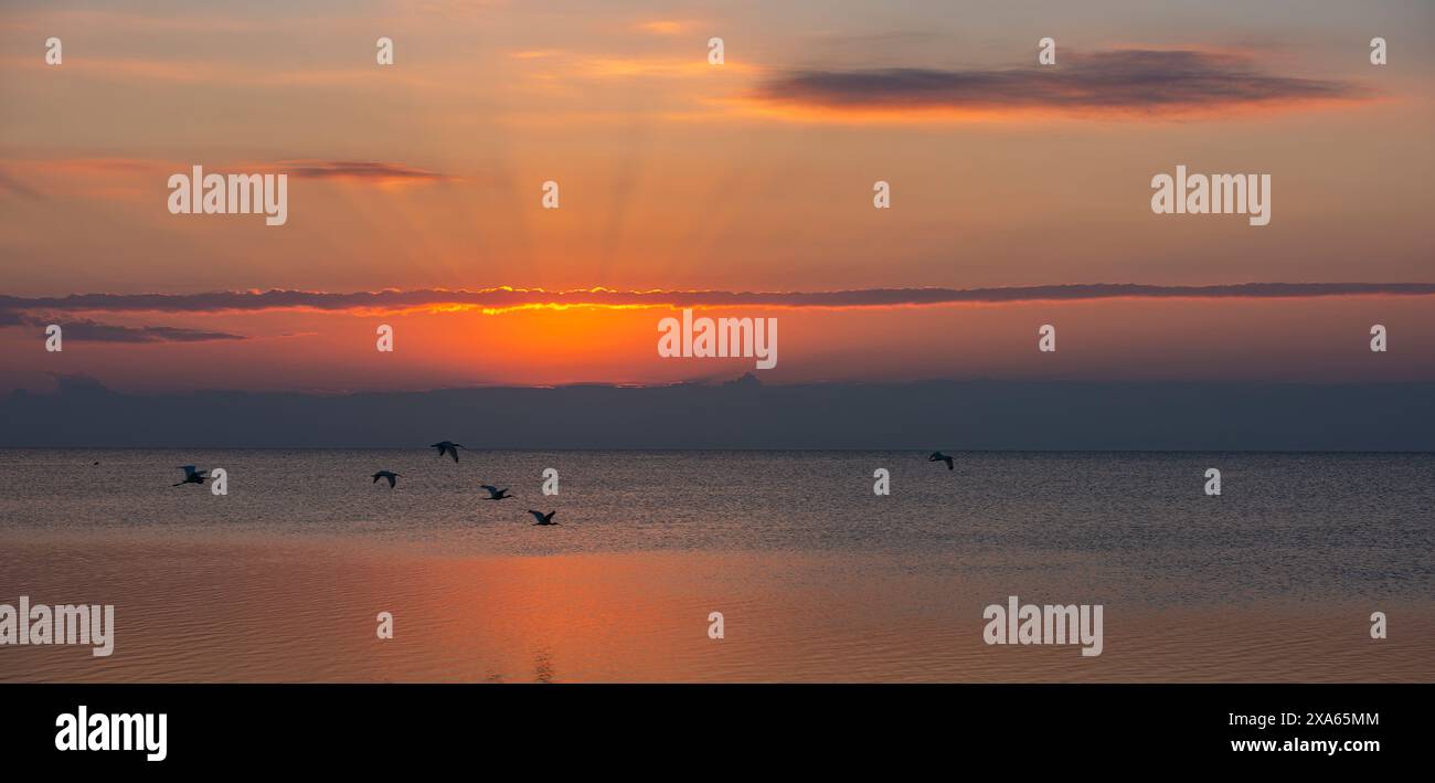 Flight over golden ocean water hi-res stock photography and images - Alamy