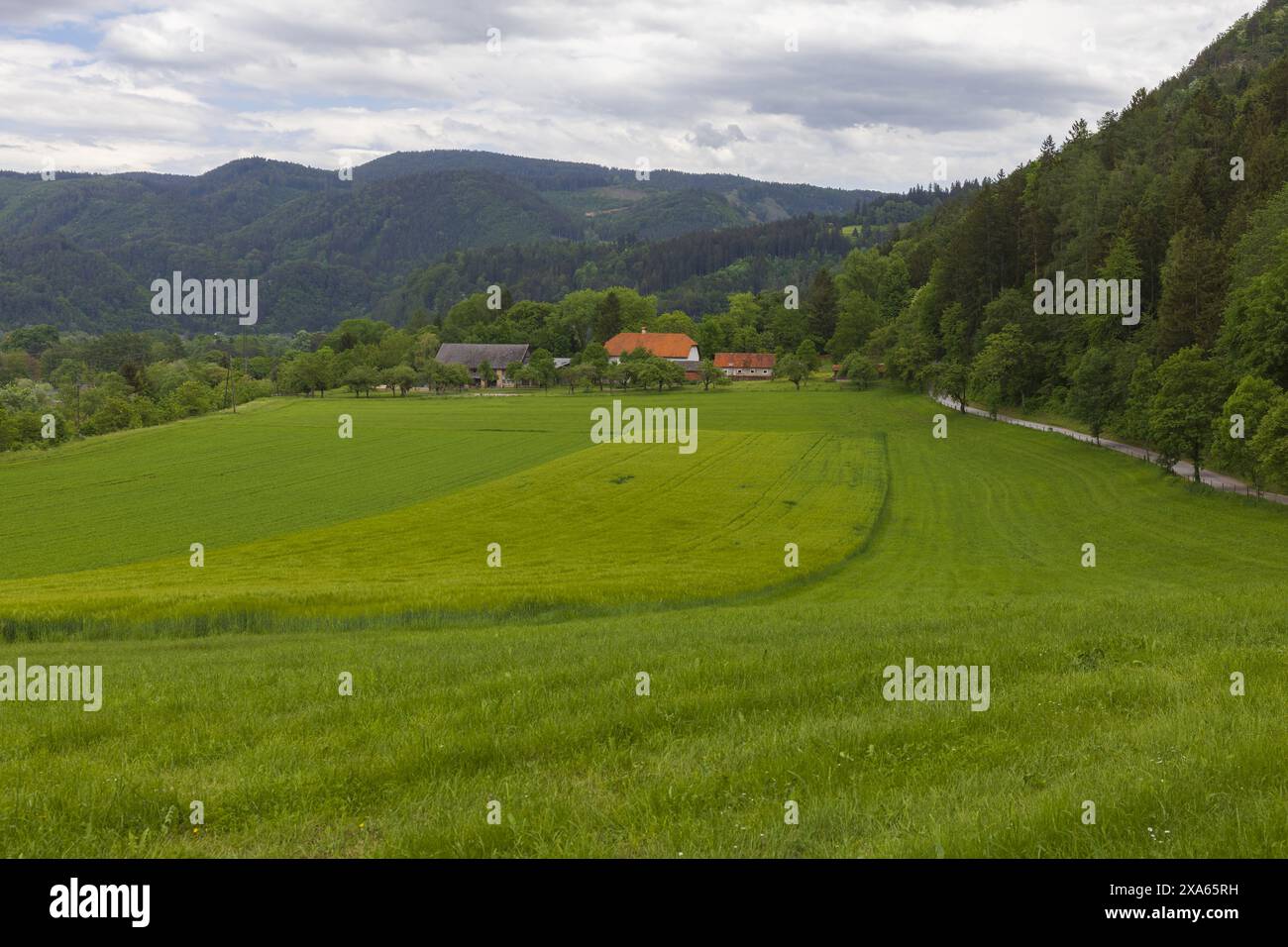 View to Alpine red roof house surrounded by hills with forest across ...