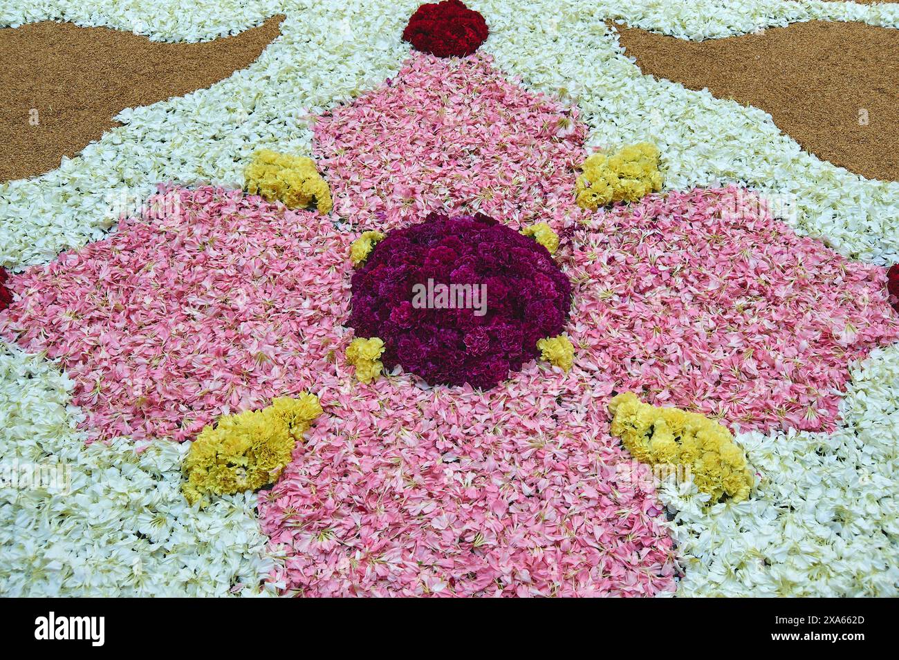A flower bed that resembles a work of art, with flowers of different ...