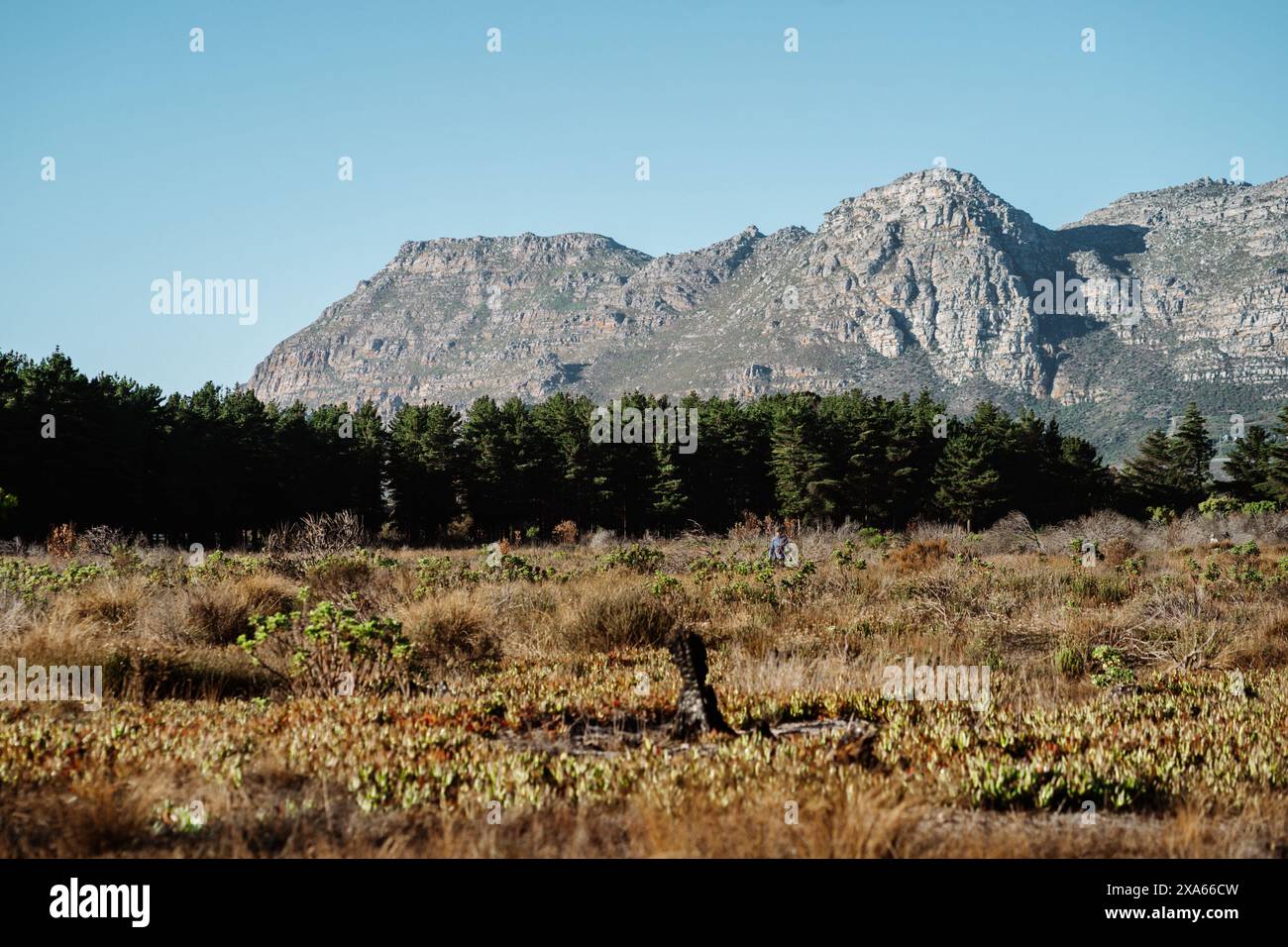 A scenic view of a rocky mountain range on a sunny day Stock Photo - Alamy