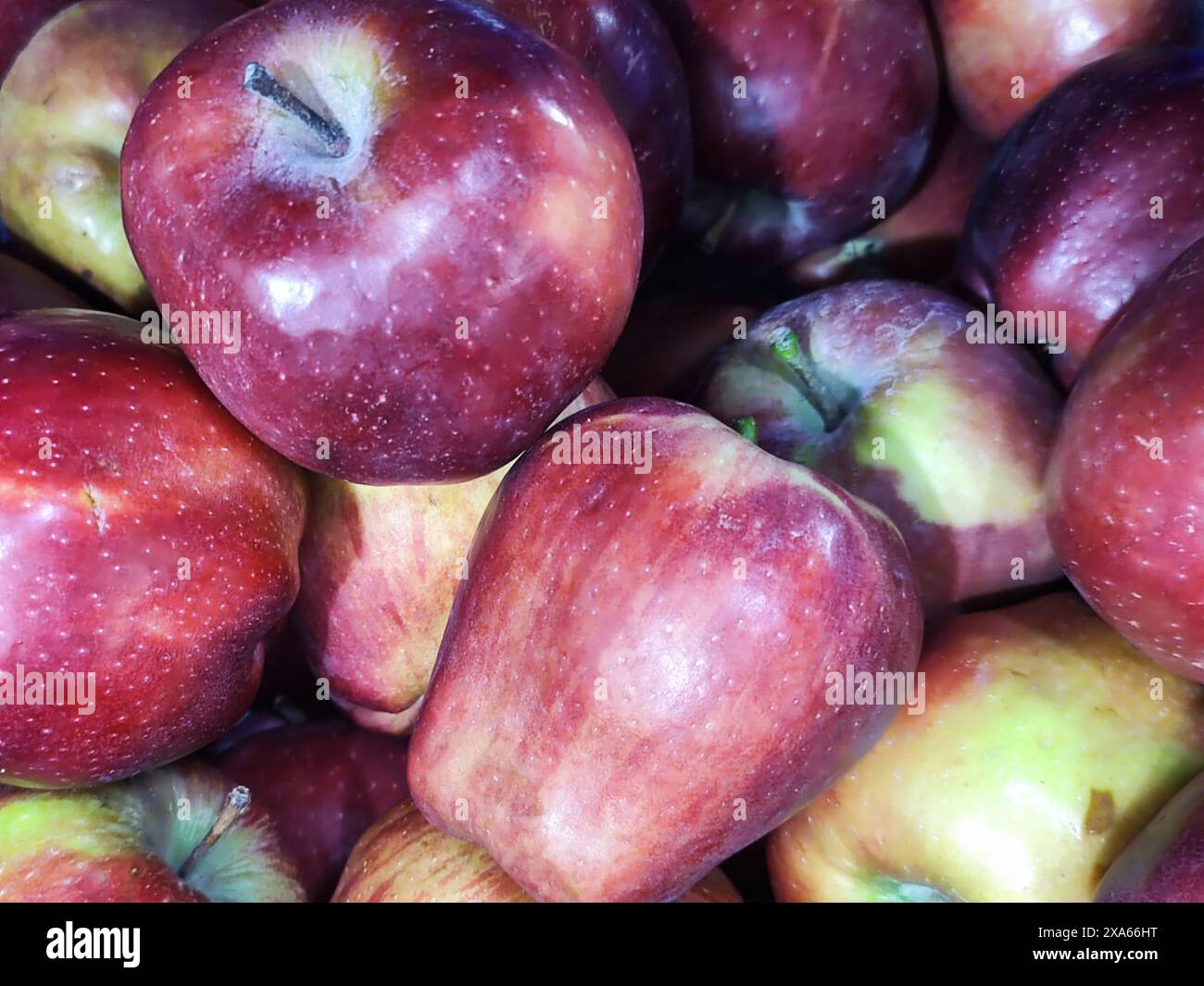 Fresh juicy apples close hi-res stock photography and images - Alamy