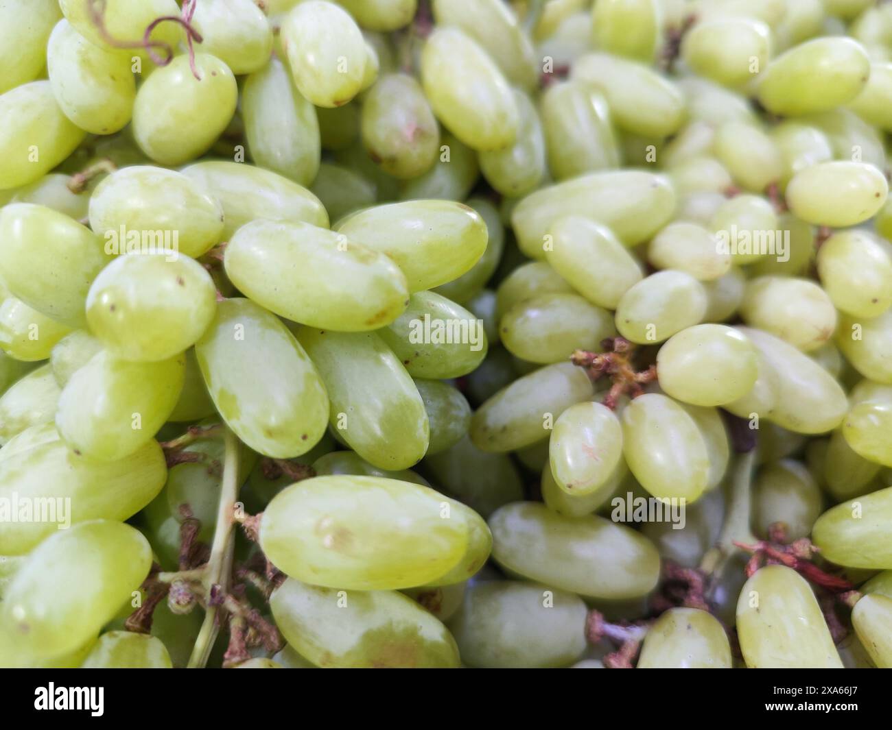 Clustered pile fresh ripe hi-res stock photography and images - Alamy