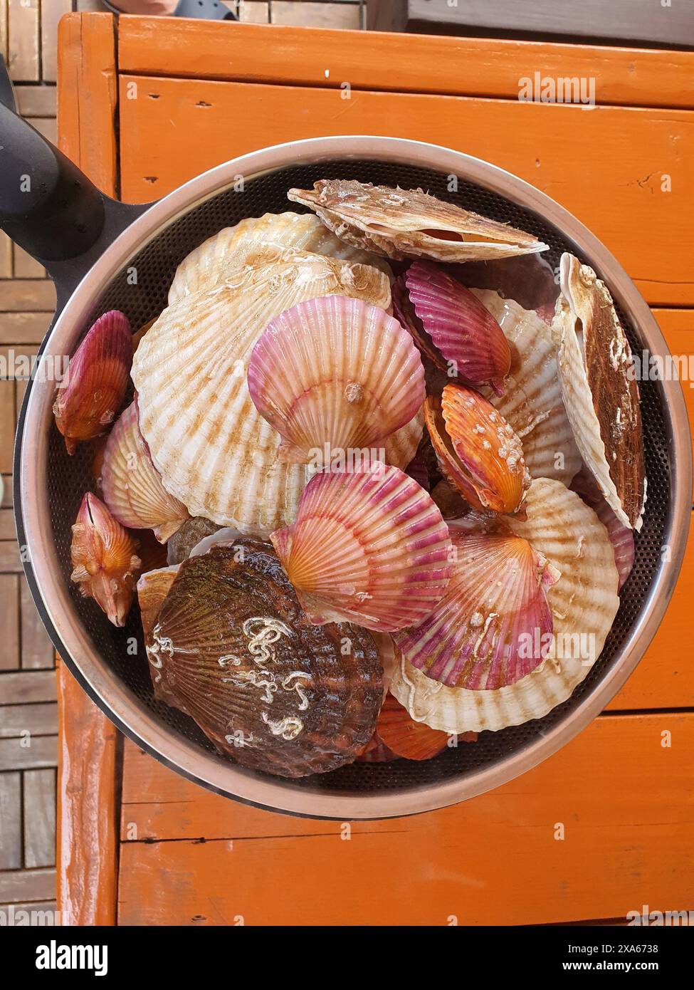 A top view of sliced clams prepared for roasting on an orange table ...