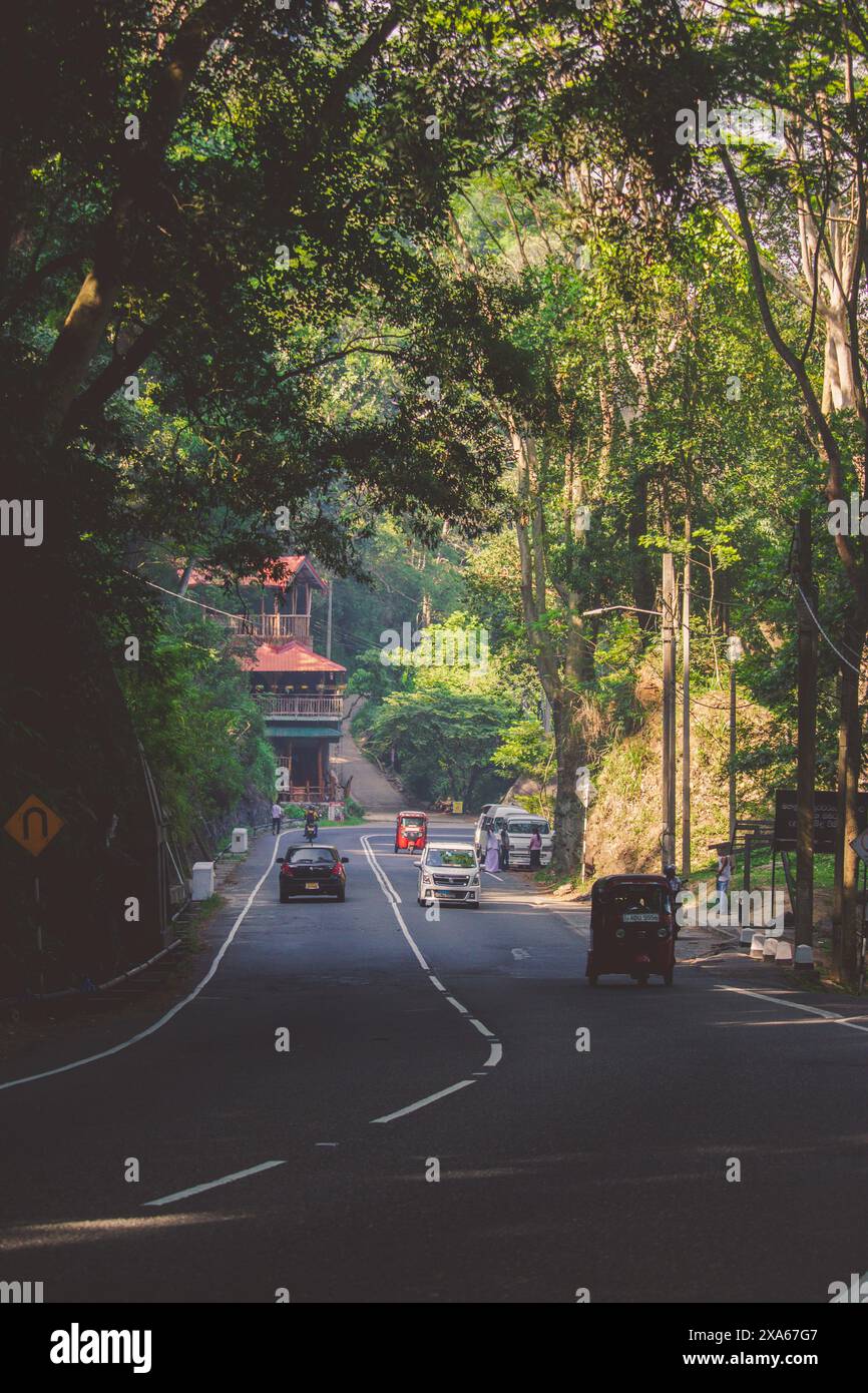 Car driving along road forest hi-res stock photography and images - Alamy