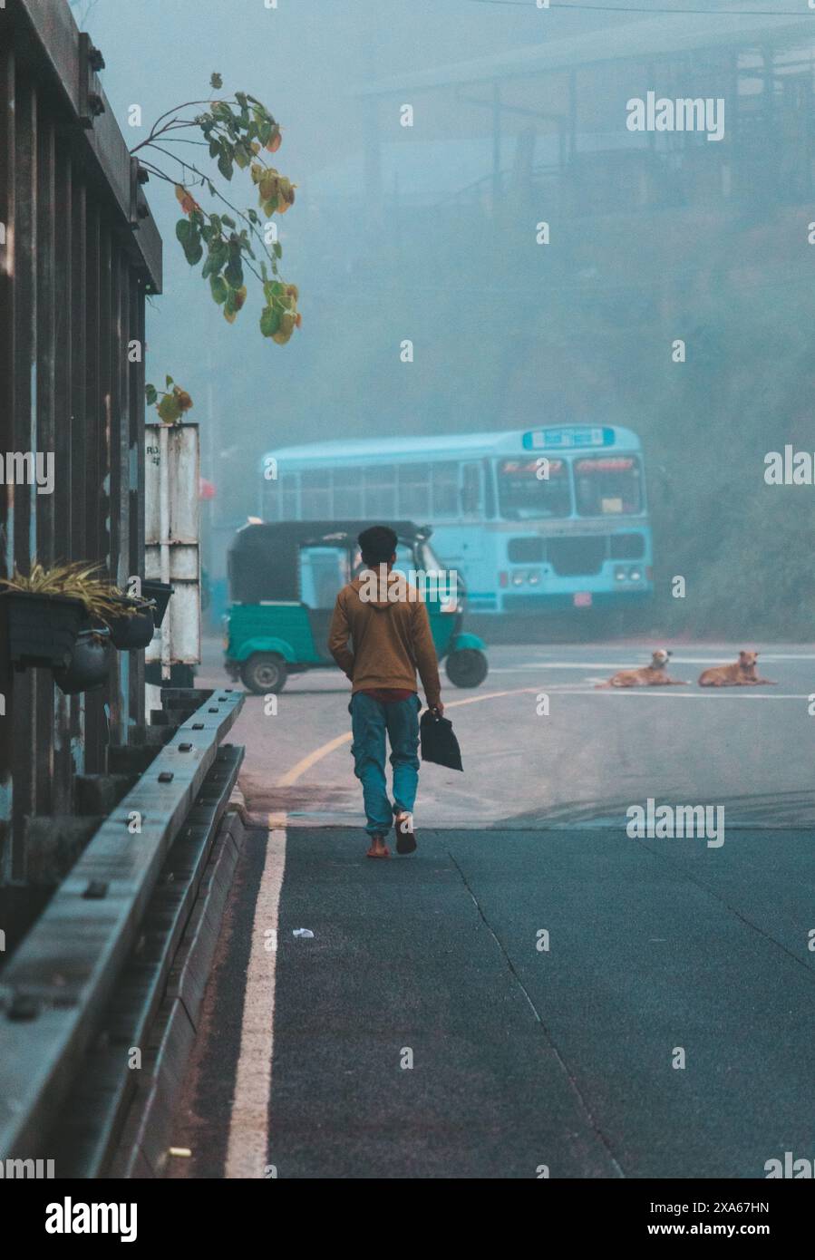 Man walking in front bus hi-res stock photography and images - Alamy