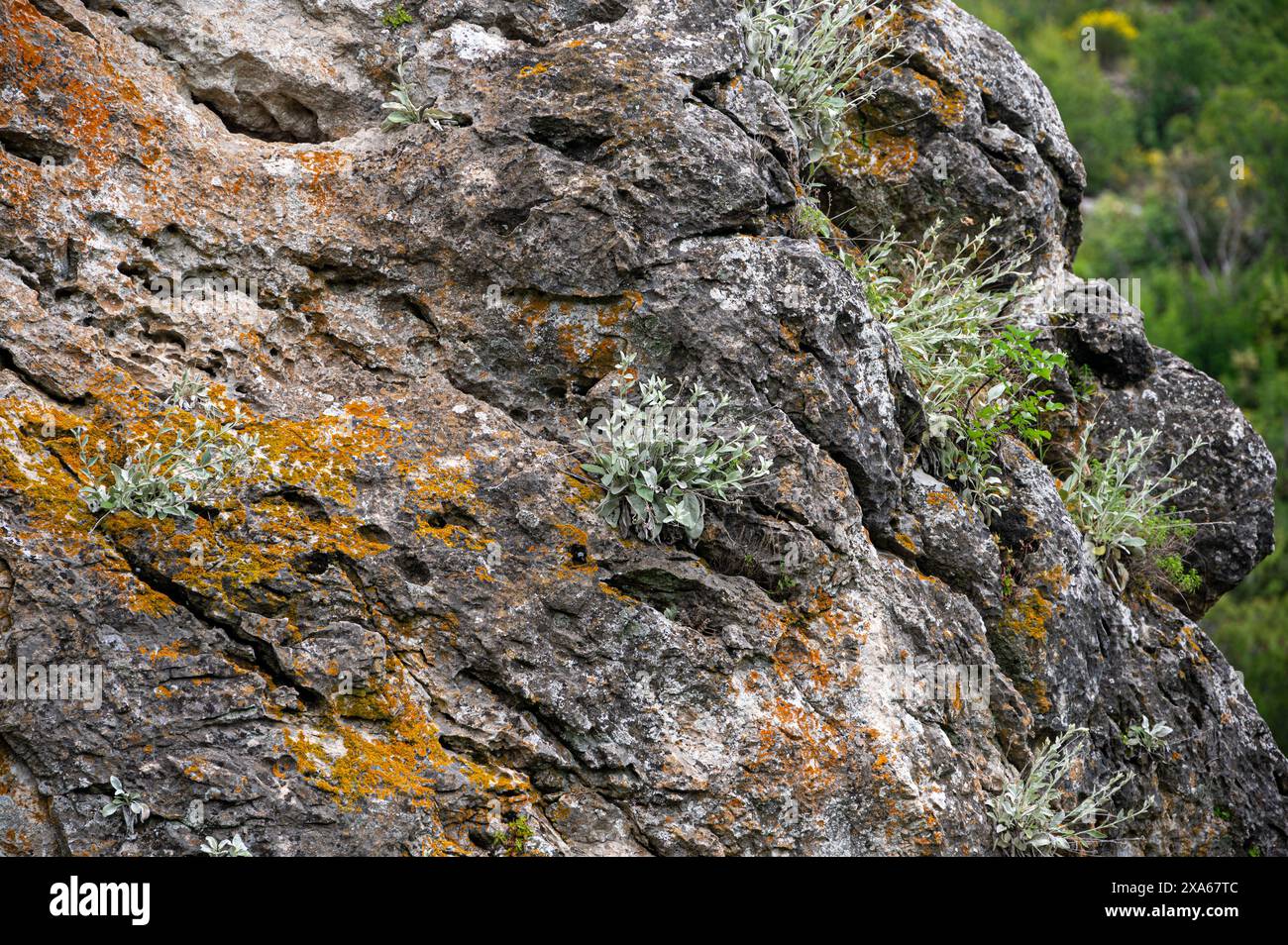 Koloc, geological rock formation over 10 meters high that creates a ...