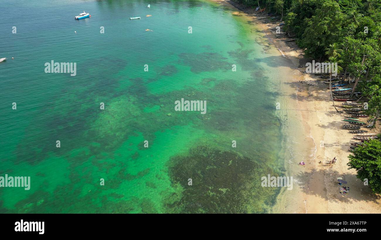 Lush greenery at shoreline hi-res stock photography and images - Alamy