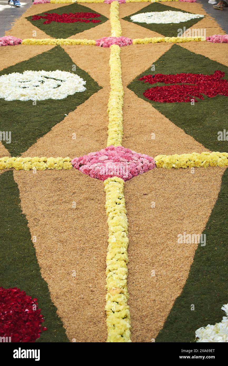 Flower exhibition at a spring festival, where the Sitges community ...