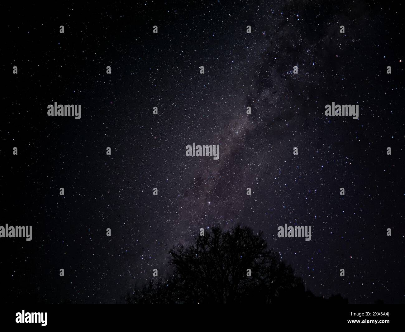 Starry sky southern milky way hi-res stock photography and images - Alamy