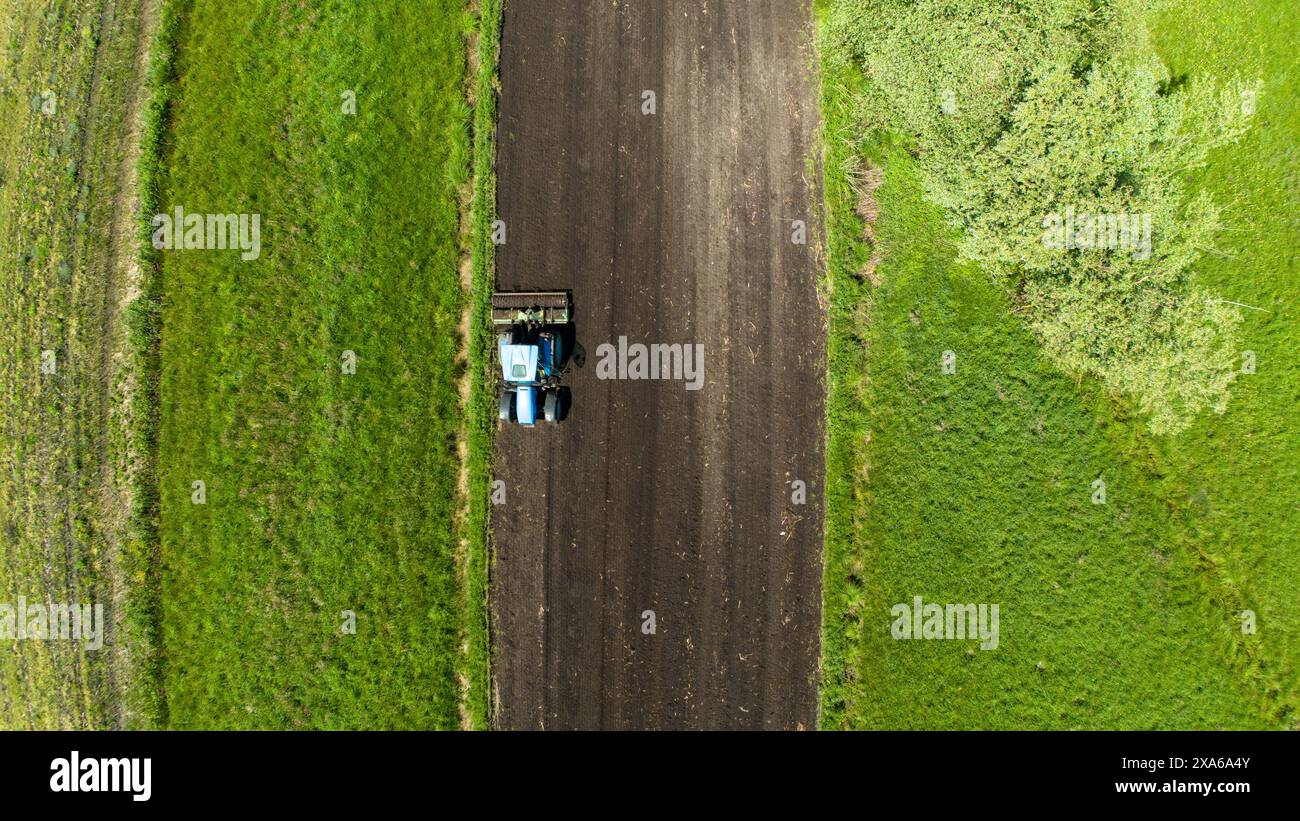 Cultivating greenery hi-res stock photography and images - Alamy