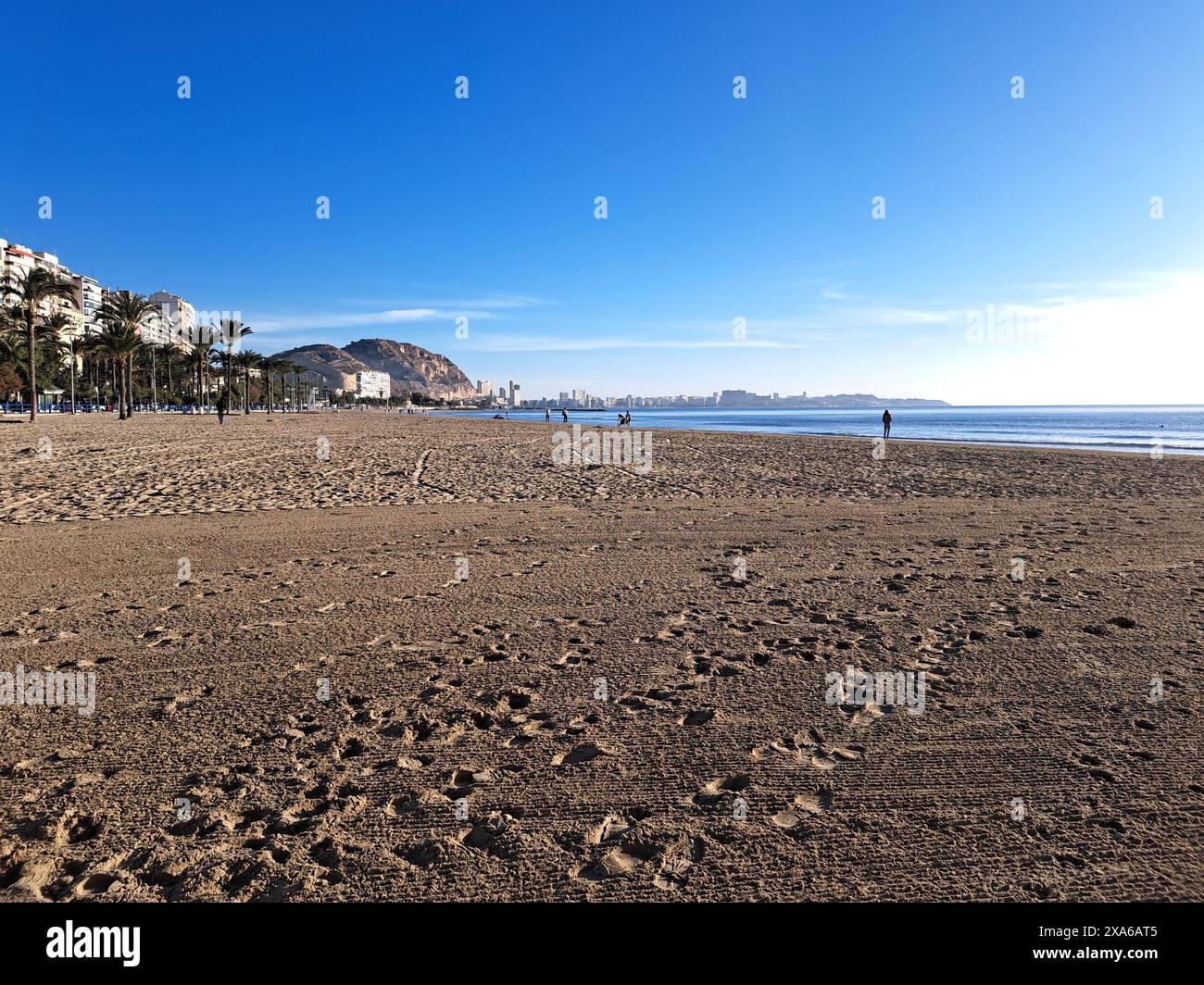 A rowd enjoying the beach amidst palm trees Stock Photo - Alamy