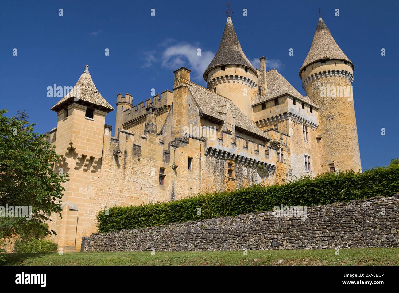 Puymartin Castle, Dordogne, Nouvelle-Aquitaine, France Stock Photo - Alamy