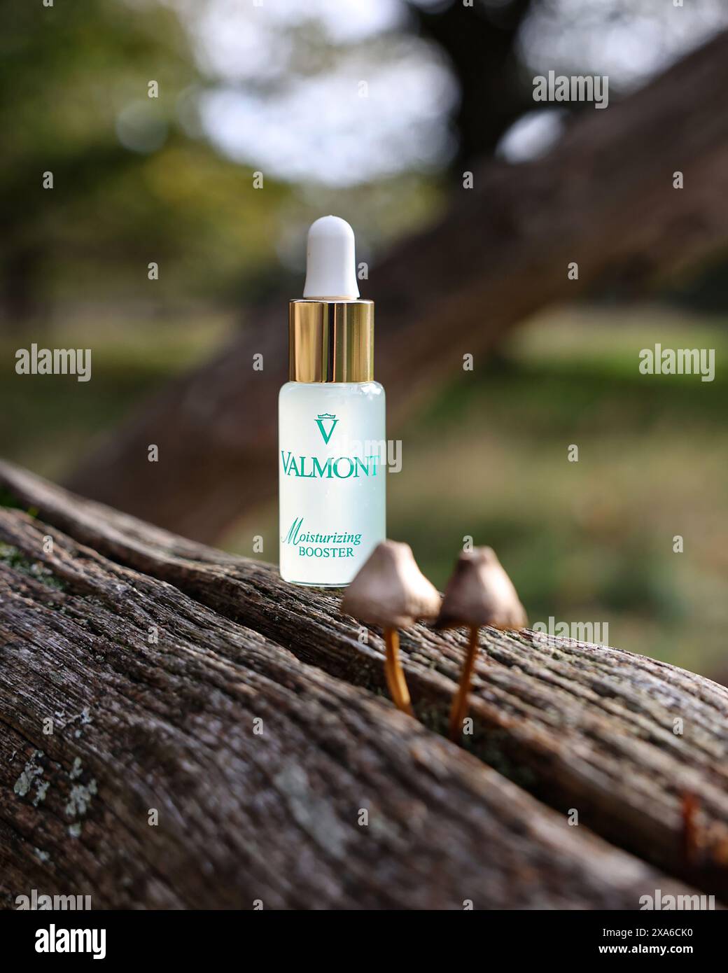 Woodland product hi-res stock photography and images - Alamy