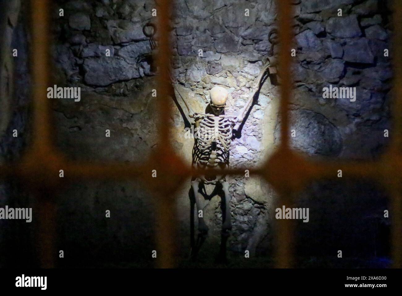 A skeleton in window at night, seen through iron mesh Stock Photo - Alamy
