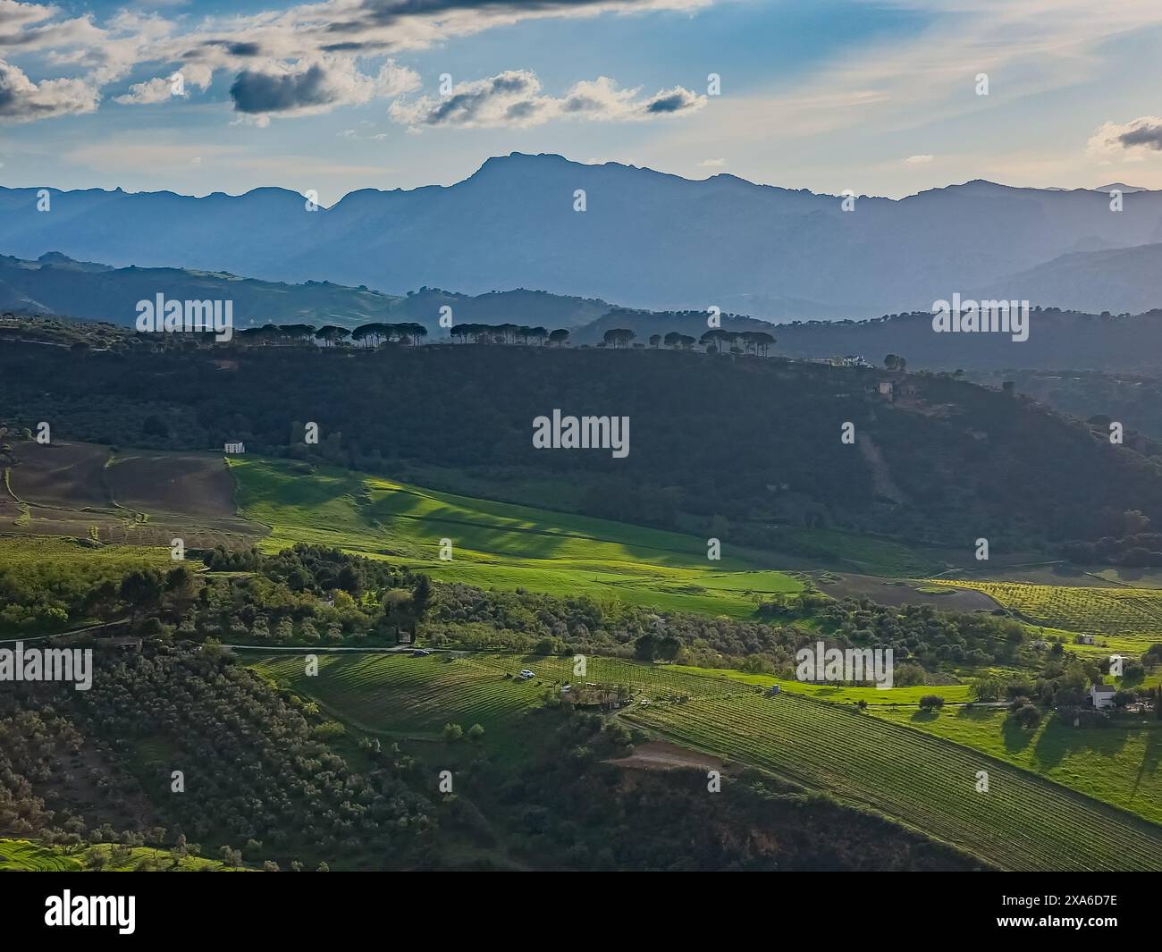 The Andalusia landscape during spring in Spain Stock Photo - Alamy