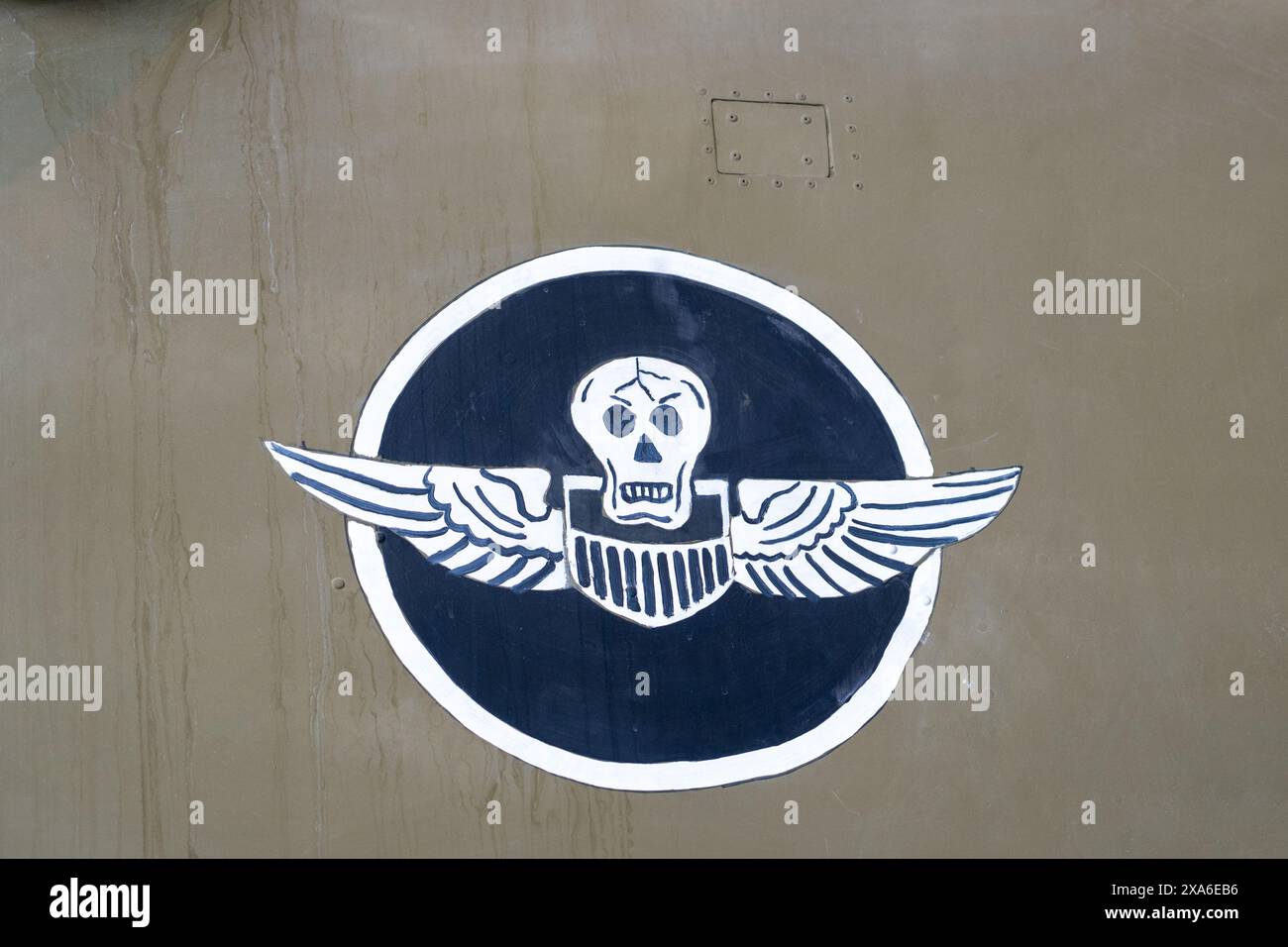 The Boeing B17 Flying Fortress squadron insignia Stock Photo - Alamy