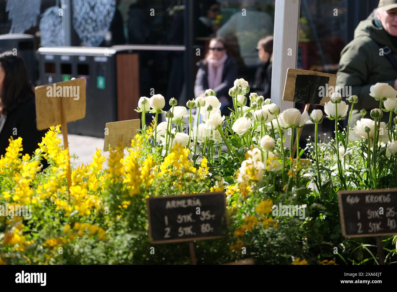 Day at the market place Stock Photo - Alamy