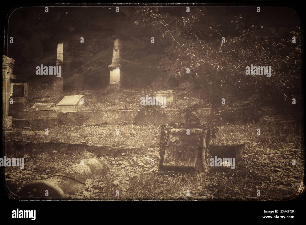 Image of an empty graveyard with no human presence Stock Photo - Alamy
