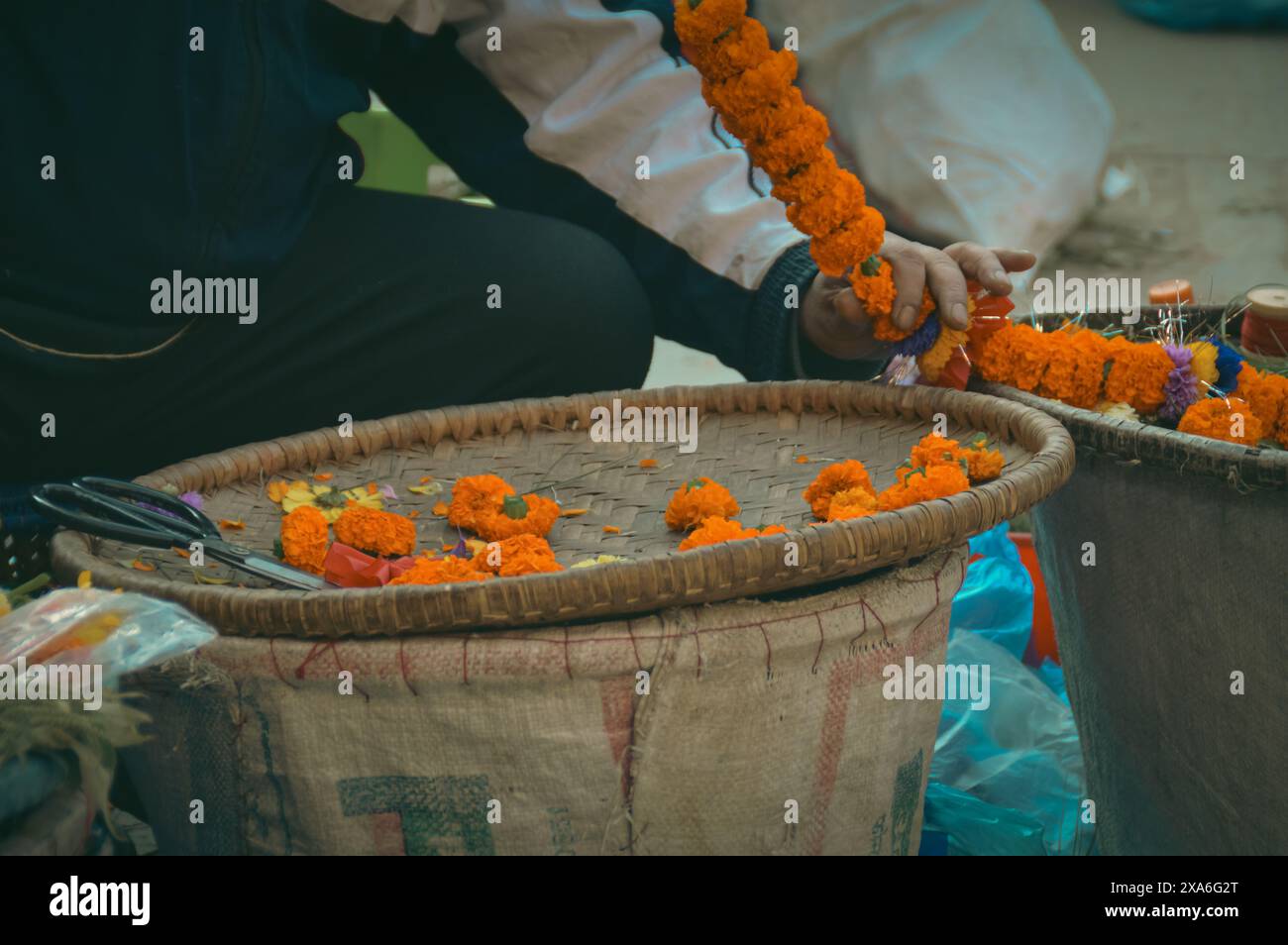 Stringing flowers into a garland hi-res stock photography and images ...