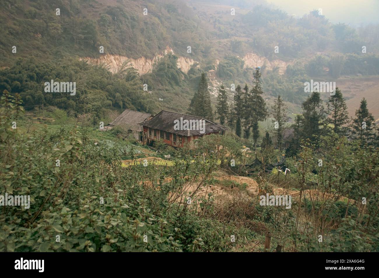 A tranquil rural landscape with a traditional hmong long house nestled ...