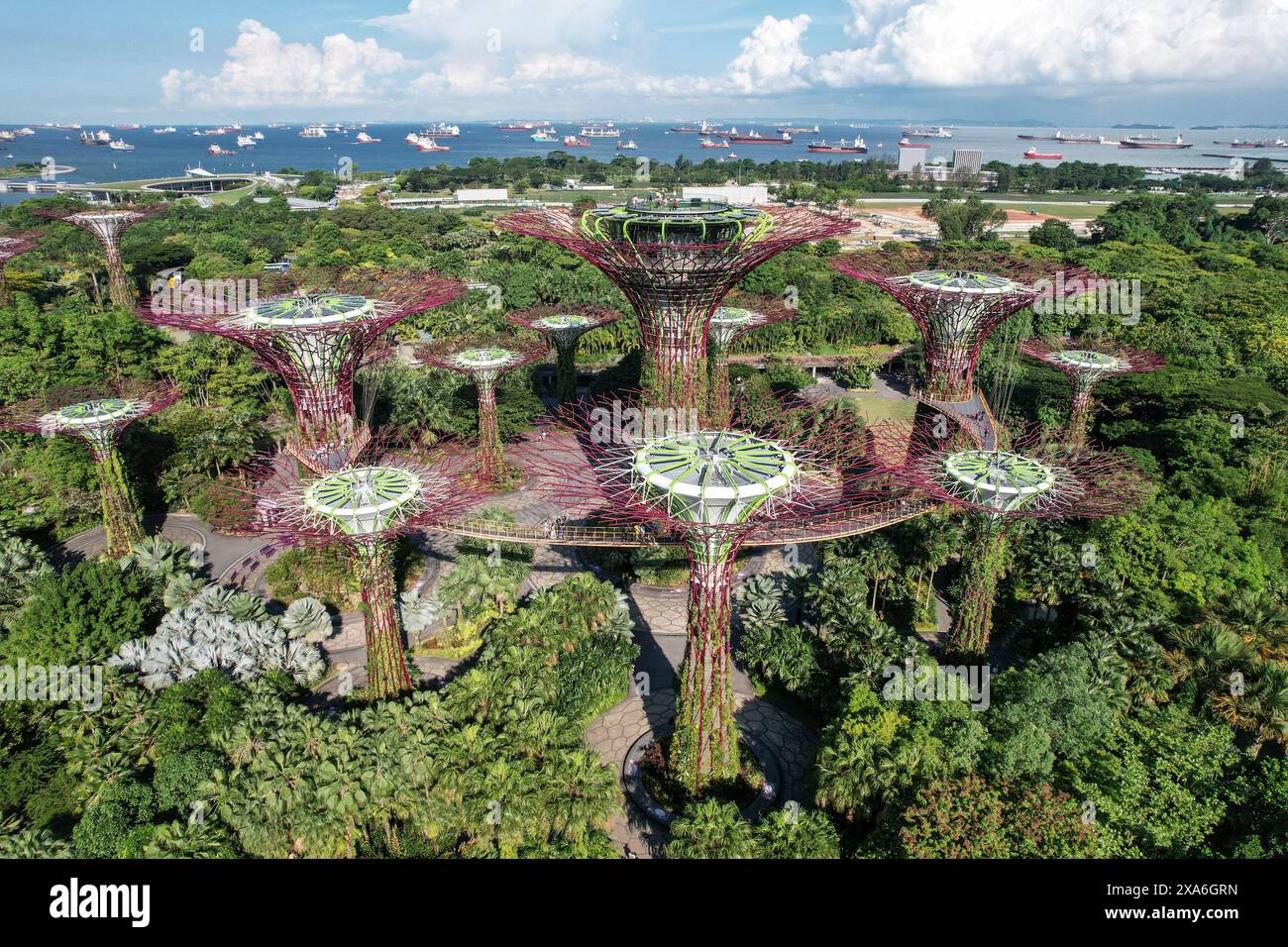 Aerial view towering supertrees hi-res stock photography and images - Alamy