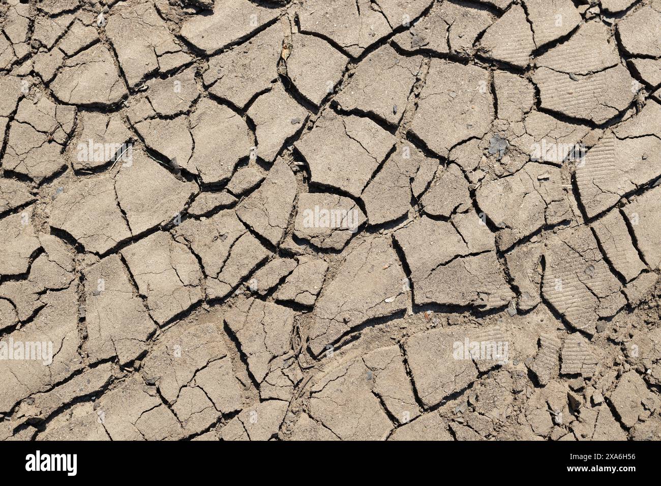 Dried earth soil abstract background texture. Top view Stock Photo - Alamy