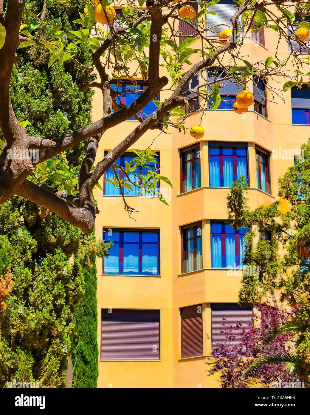 The Blue tinted windows with sunshine beaming against the orange walls ...