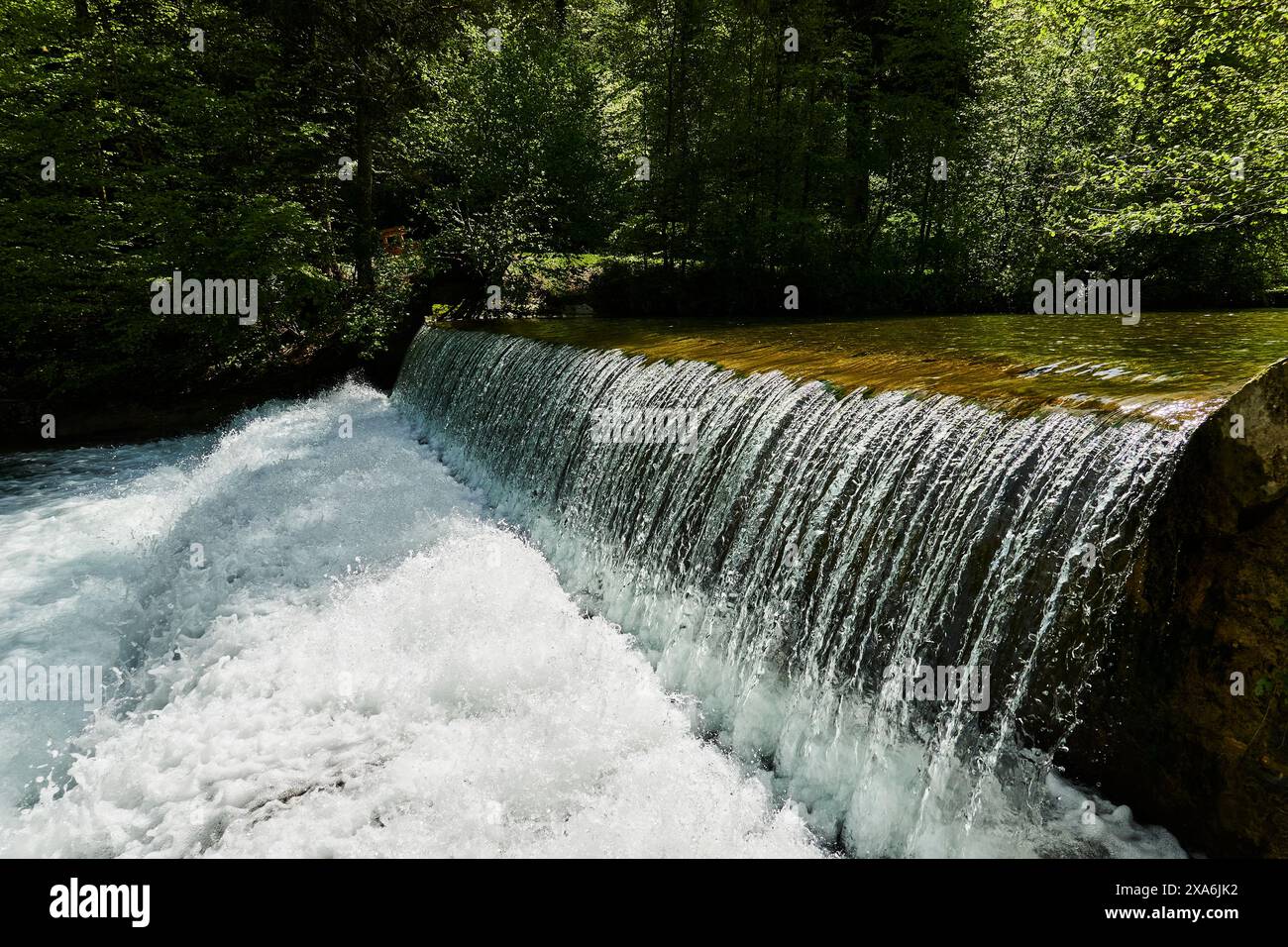 A scenic waterfall cascading through trees with tall grass in the Toss ...