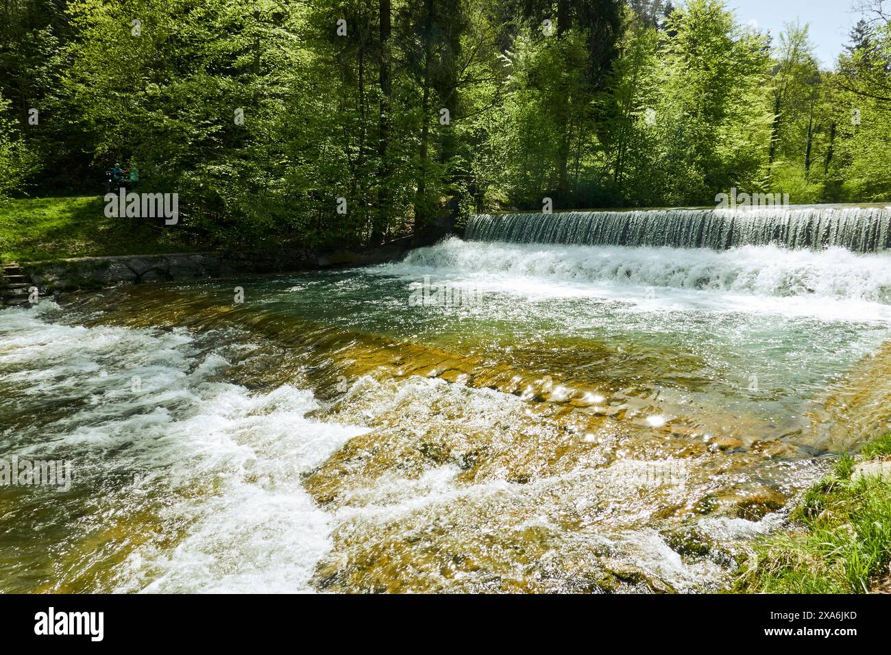 A scenic waterfall cascading through trees with tall grass in the Toss ...