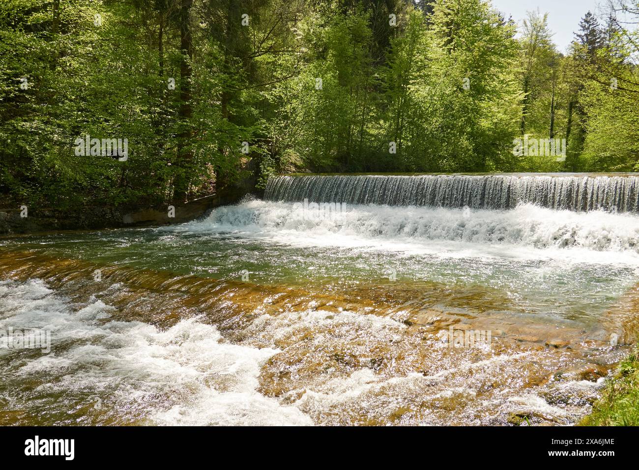 A scenic waterfall cascading through trees with tall grass in the Toss ...