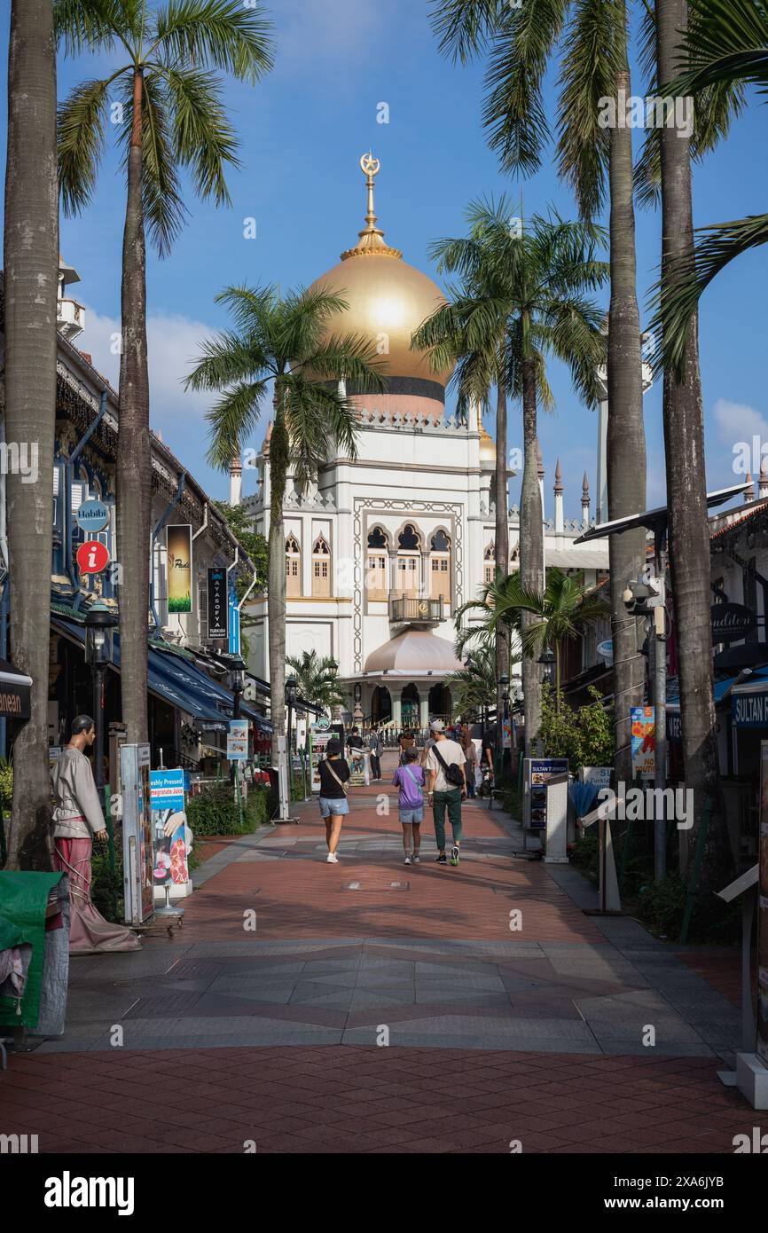 The people stroll by palm trees along the sidewalk near buildings in ...