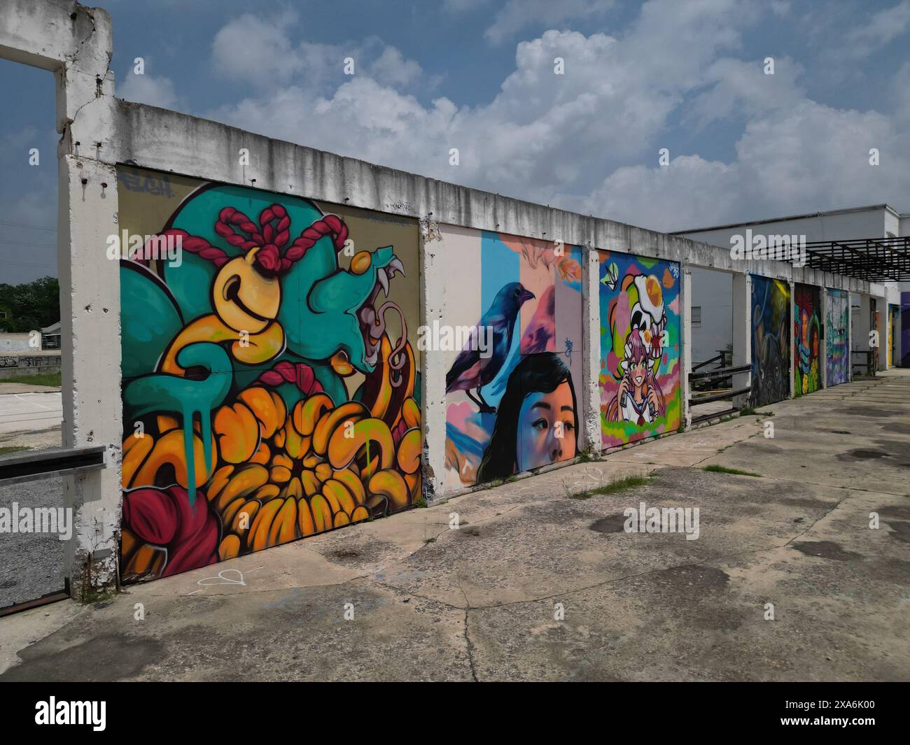 An aerial of graffiti paintings on the walls of a building in San ...