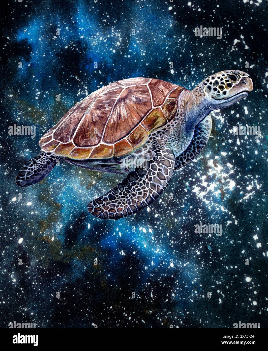 Kemps ridley sea turtle swimming in a fluid space like environment ...