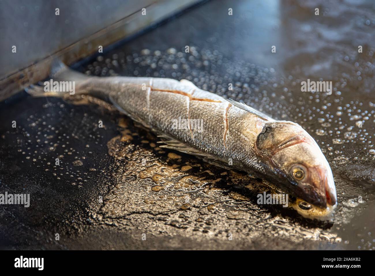 Grilled sea bass fish closeup. In process. European sea-bass, chef is ...