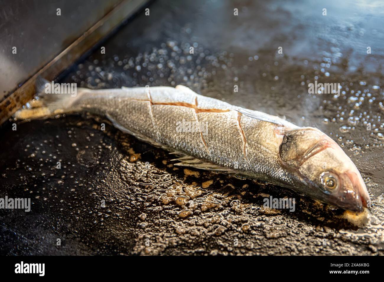 Grilled sea bass fish closeup. In process. European sea-bass, chef is ...